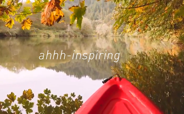 SAIF | Oregon Workers' Compensation Insurance & Benefits