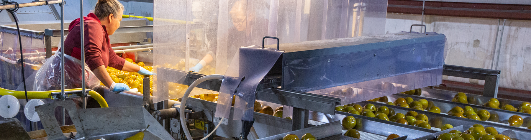 Duckwall Fruit | Hood River